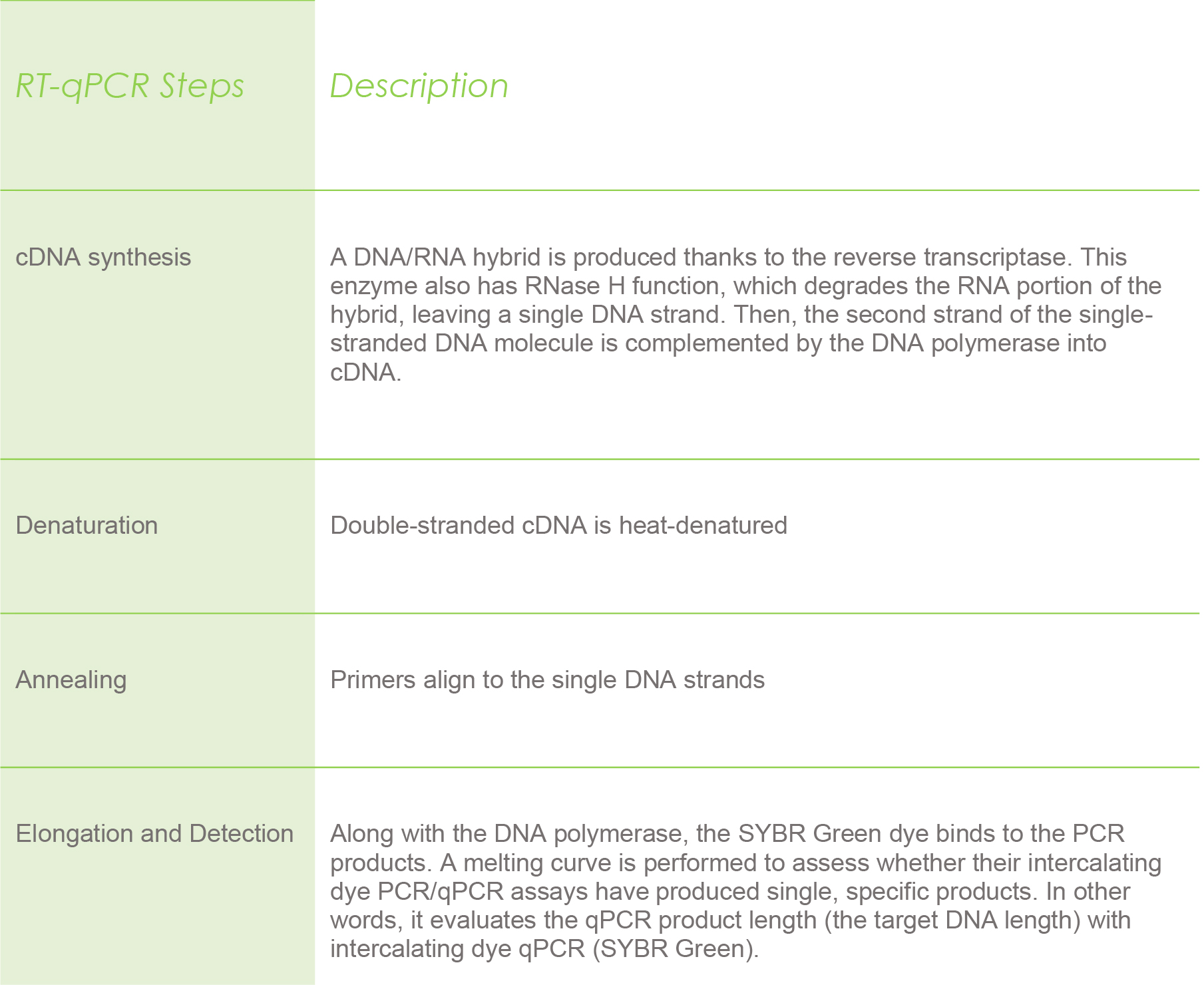 Overview About How To Do RT-qPCR | GoldBio